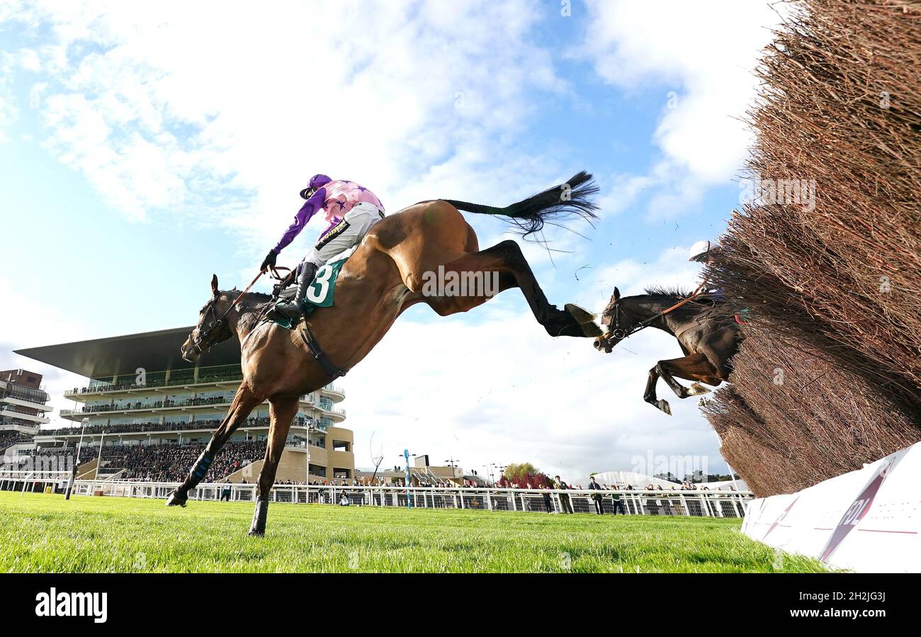 Annual invictus horse hi-res stock photography and images - Alamy