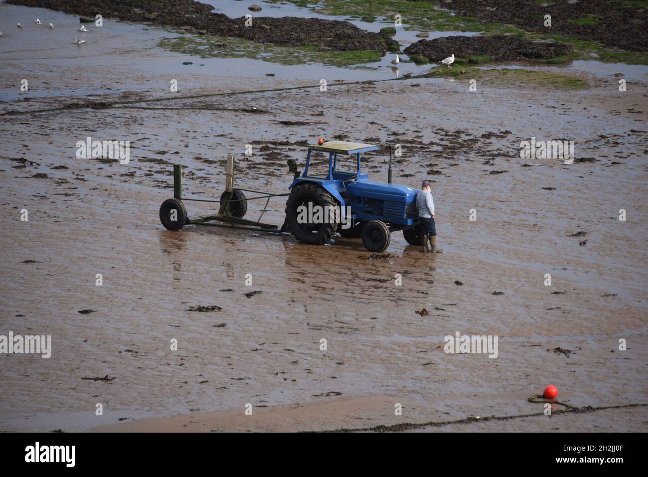 A tractor waits at low tide on the beach in Robin Hood's Bay Stock ...