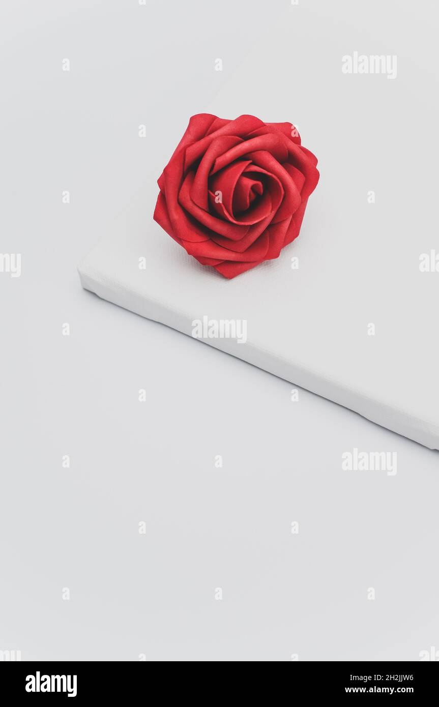 white painting canvas with red rose head top view on white background ...