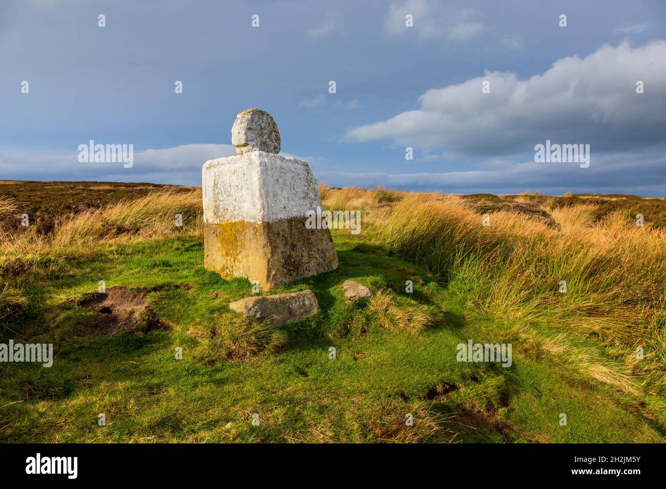 The 'Fat Betty' waymarker on Danby High Moor in the North York Moors ...