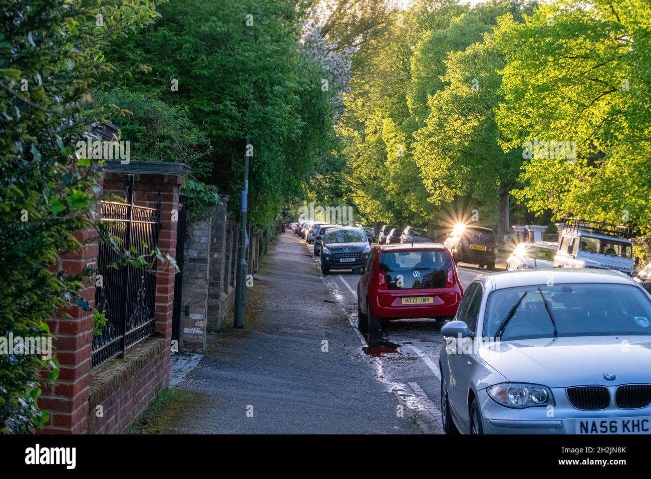 street view with parked cars and trees Stock Photo - Alamy