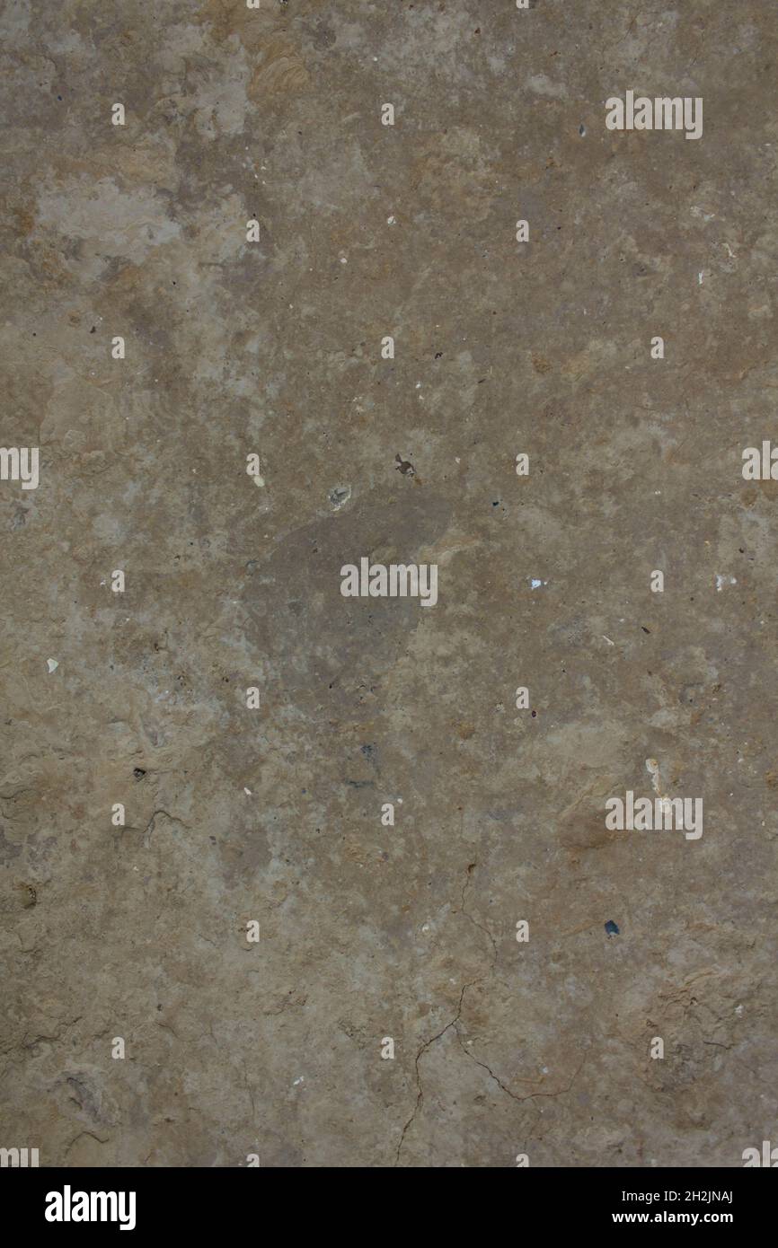 The texture of the ground. High resolution Stock Photo - Alamy