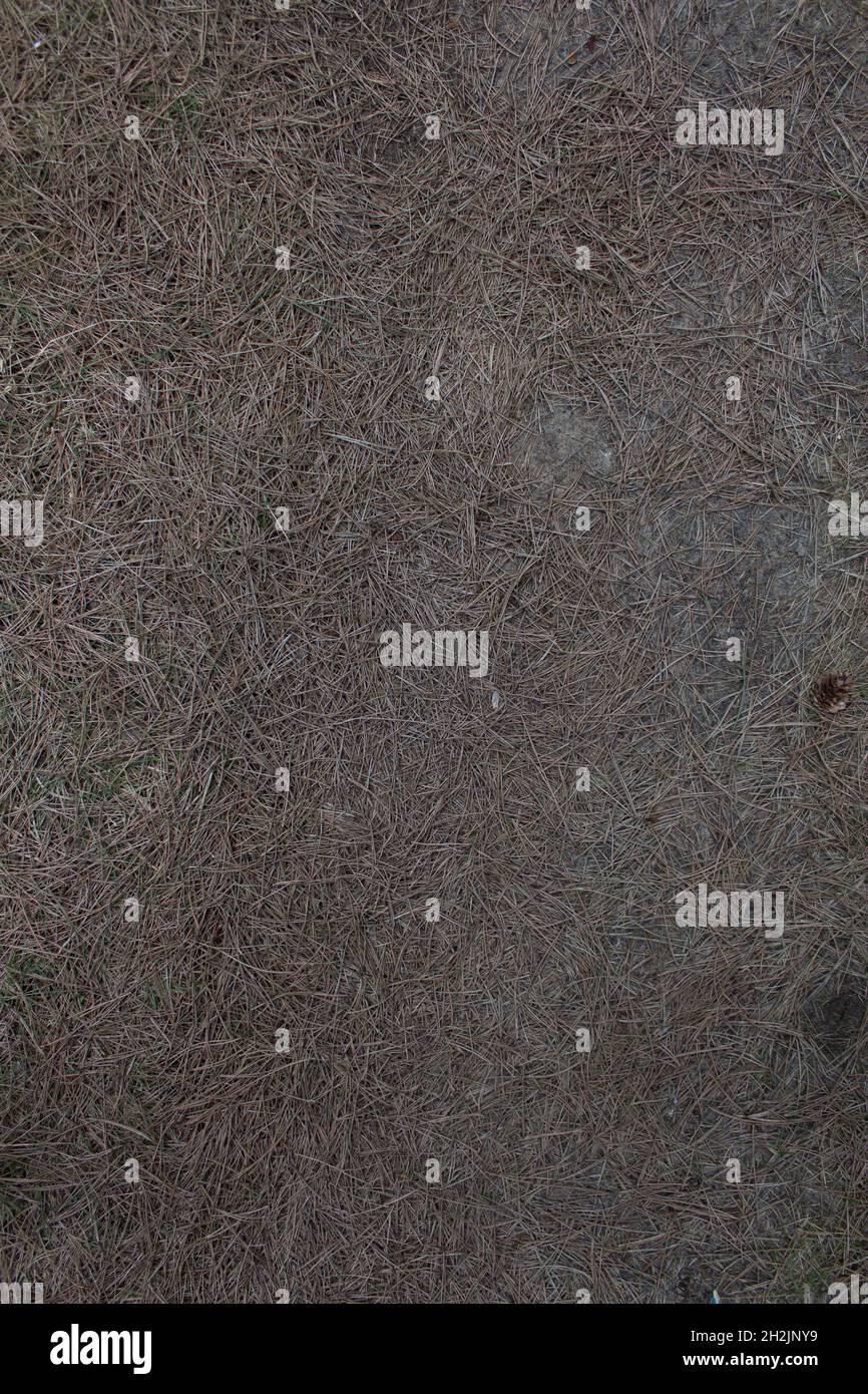 The texture of the ground. High resolution Stock Photo - Alamy