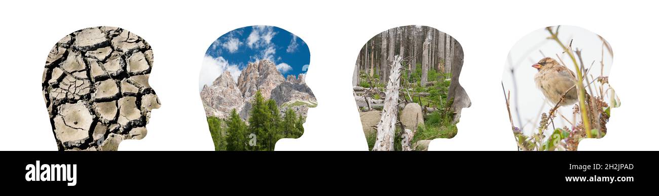 Cracked dry landscape Cut Out Stock Images & Pictures - Alamy