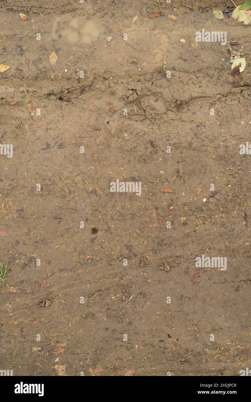 The texture of the ground. High resolution Stock Photo - Alamy