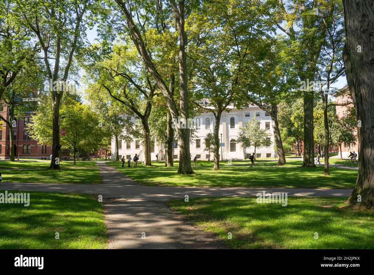 Harvard university campus view hi-res stock photography and images - Alamy