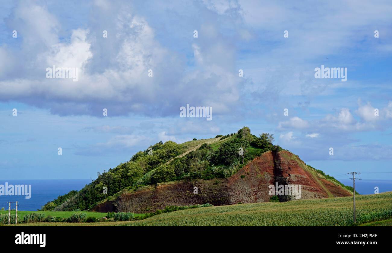 green farmland on the azores islands Stock Photo - Alamy
