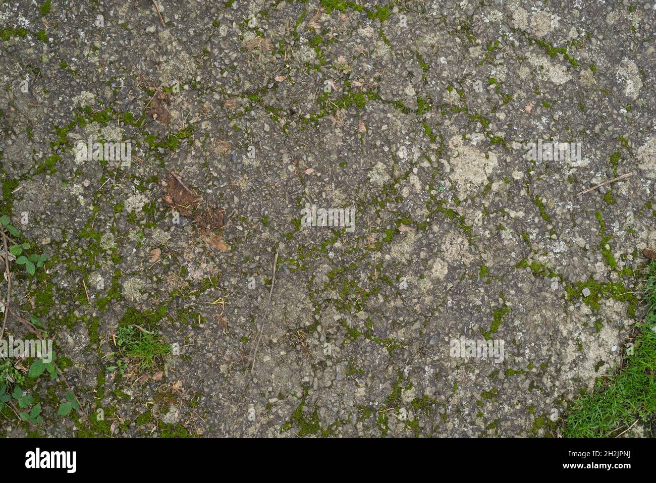 The texture of the ground. High resolution Stock Photo - Alamy