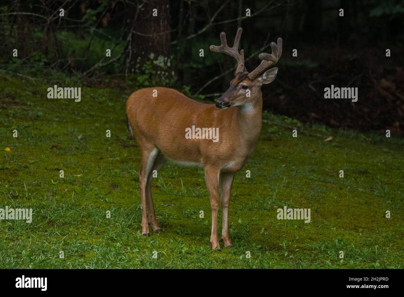 Full rack hi-res stock photography and images - Alamy