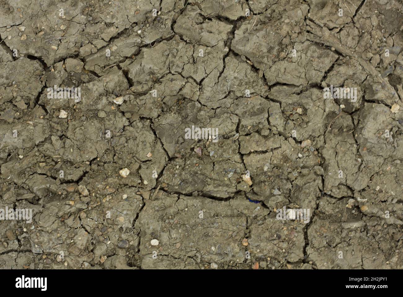 The texture of the ground. High resolution Stock Photo - Alamy