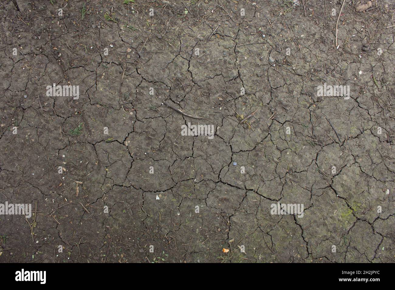 The texture of the ground. High resolution Stock Photo - Alamy