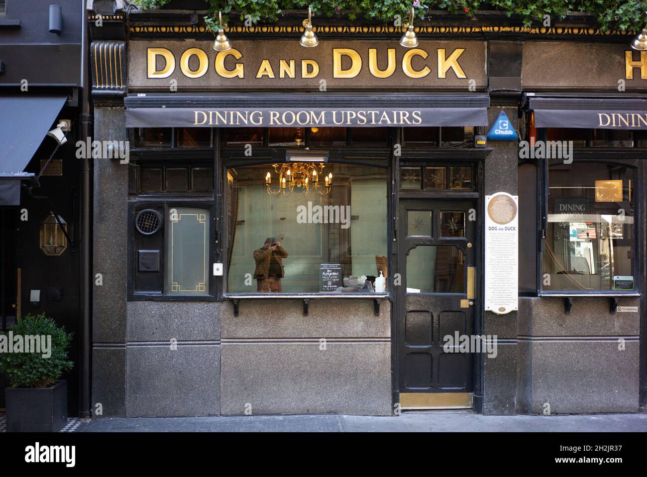 Dog and Duck Stock Photo - Alamy