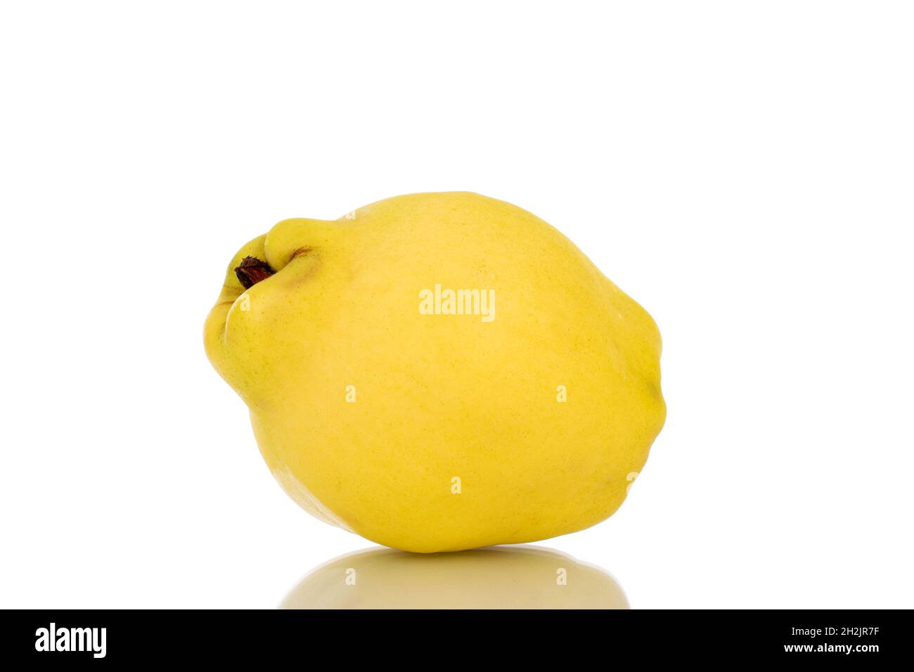 One bright yellow organic quince, close-up, isolated on white Stock ...