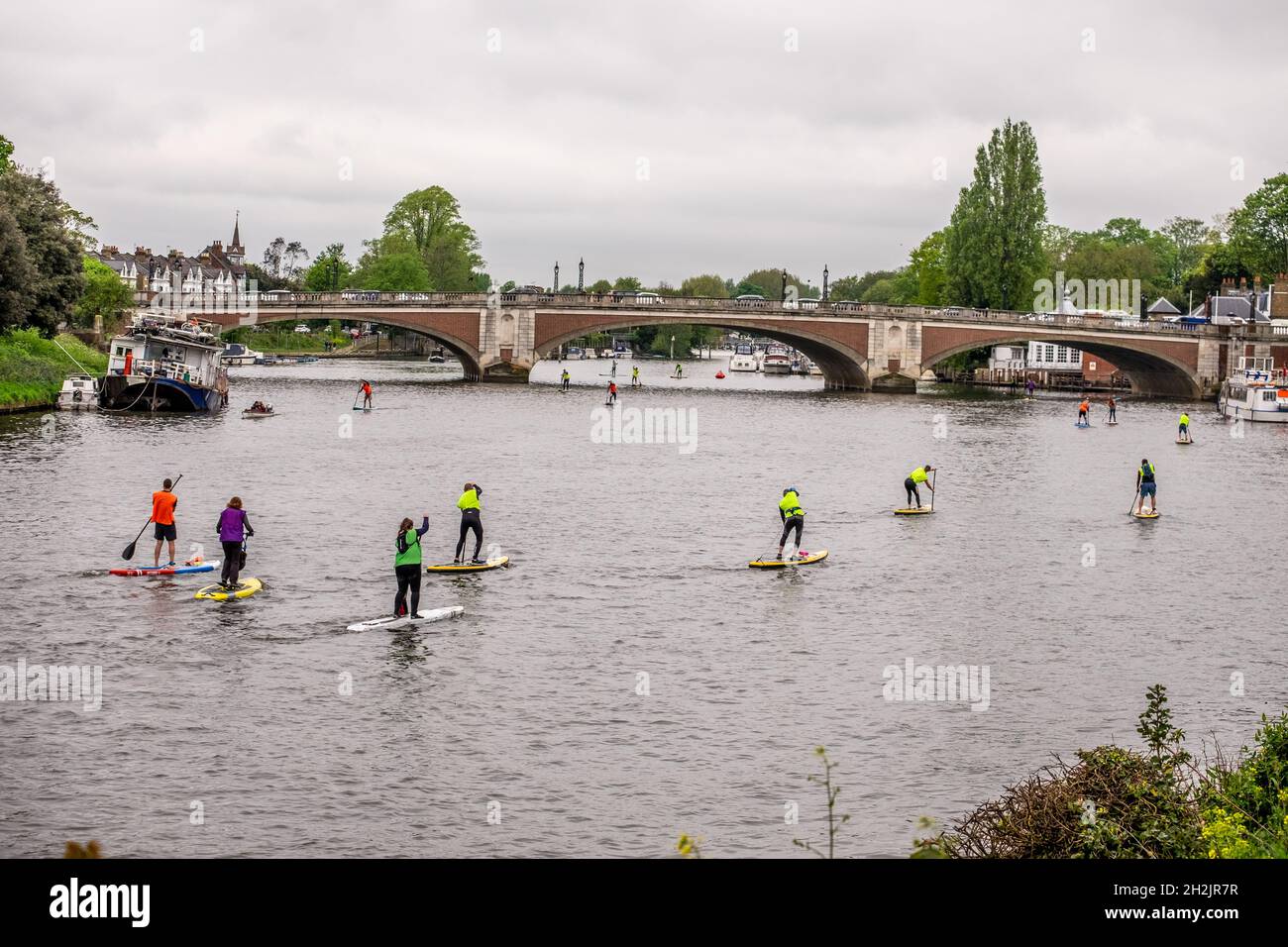 paddle boarders on the river thames Stock Photo - Alamy