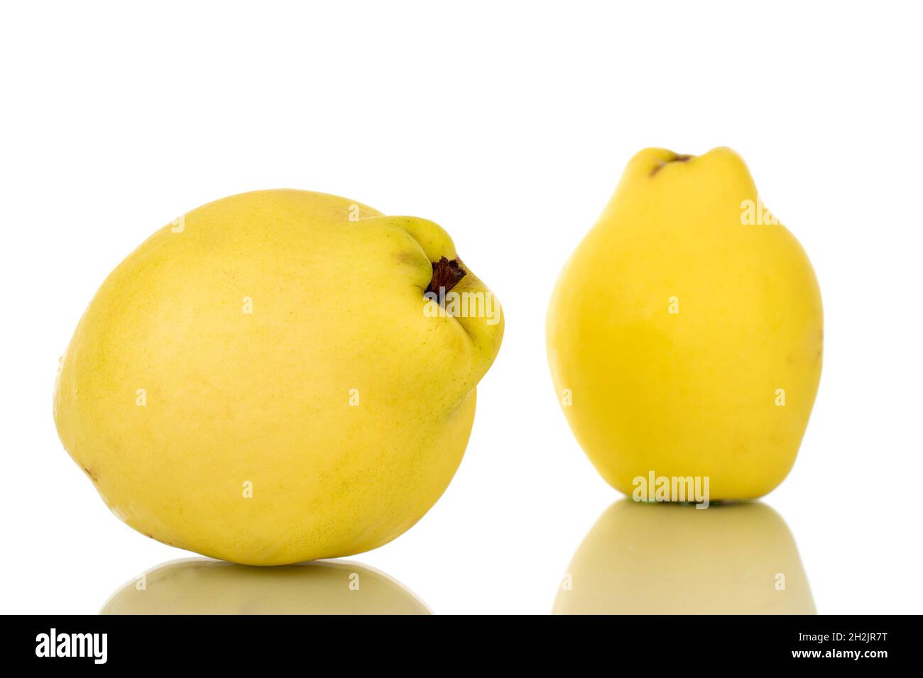 Two bright yellow organic quince, close-up, isolated on white Stock ...