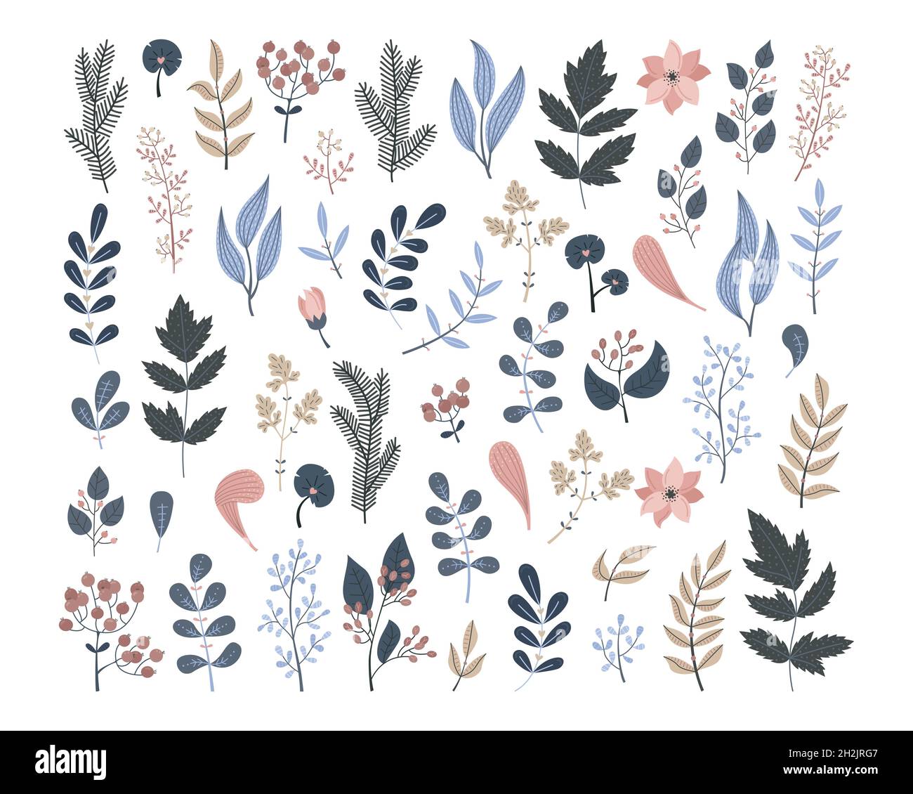 Vector floral set with plants and flowers Stock Vector Image & Art - Alamy