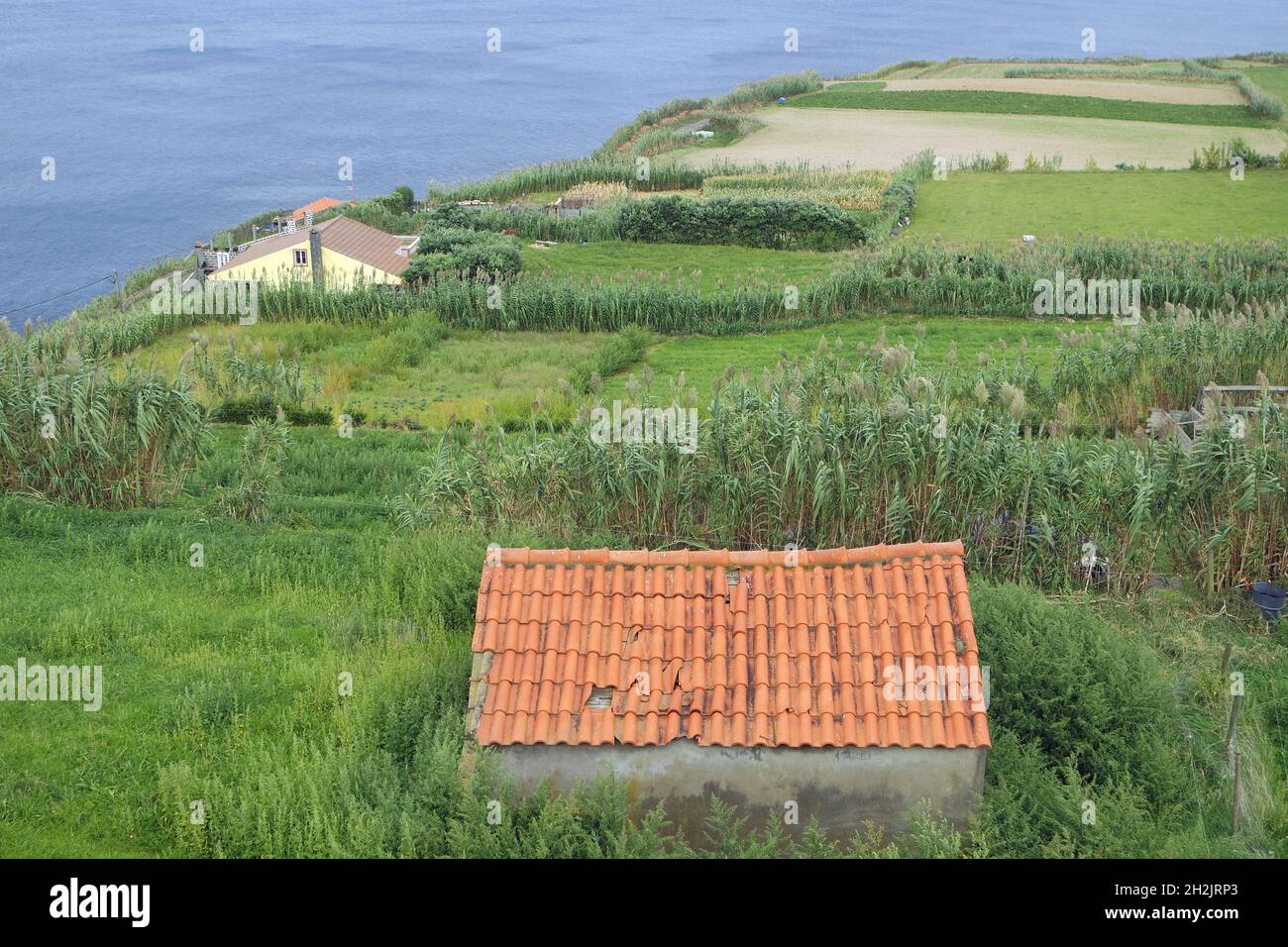 Farmer azores hi-res stock photography and images - Alamy