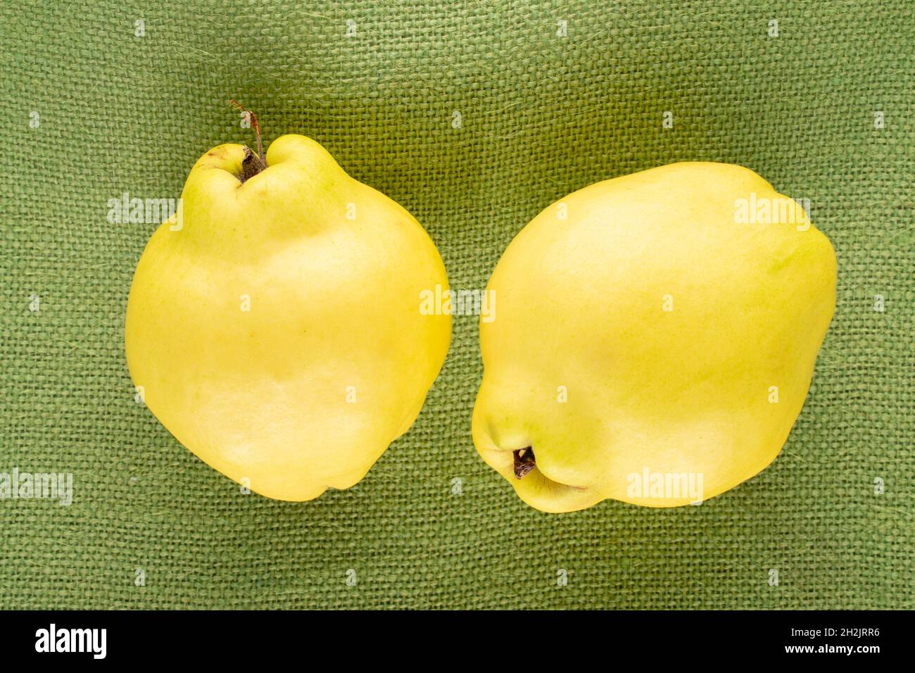 Two ripe quinces hi-res stock photography and images - Alamy