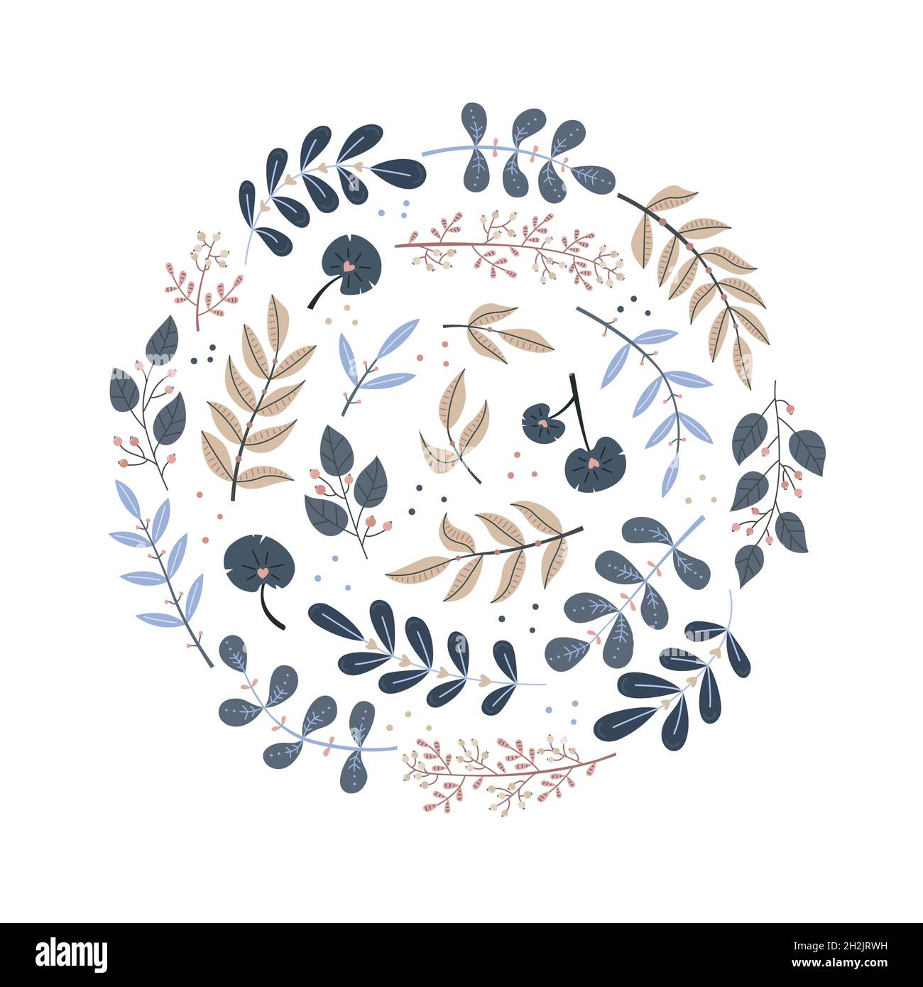 Vector floral illustration in a round shape. Botanical illustration ...