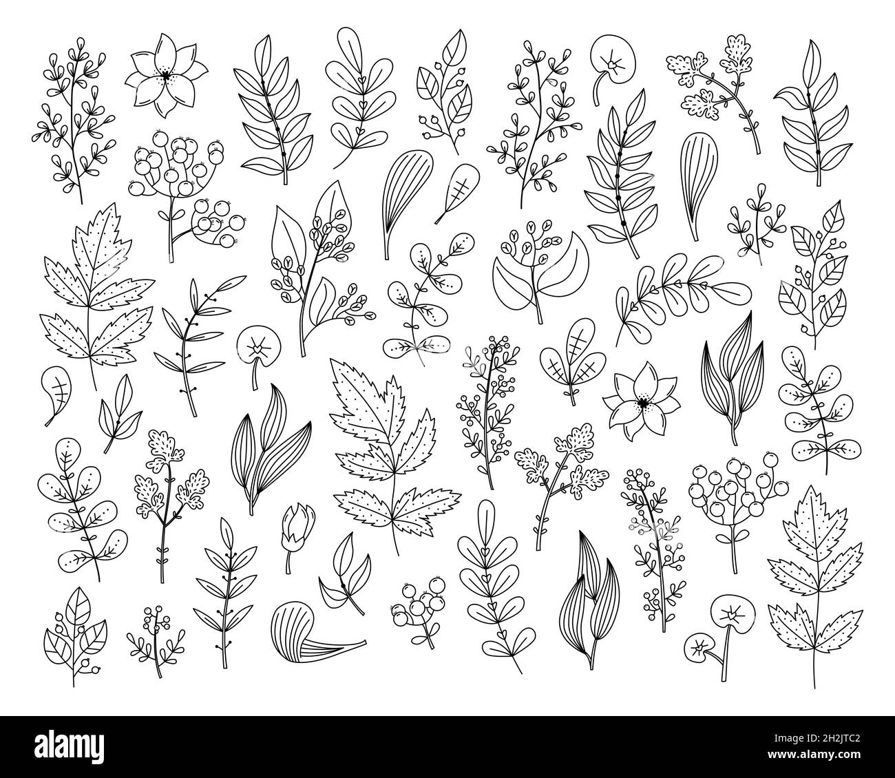 Vector outline floral set with plants and flowers Stock Vector Image ...