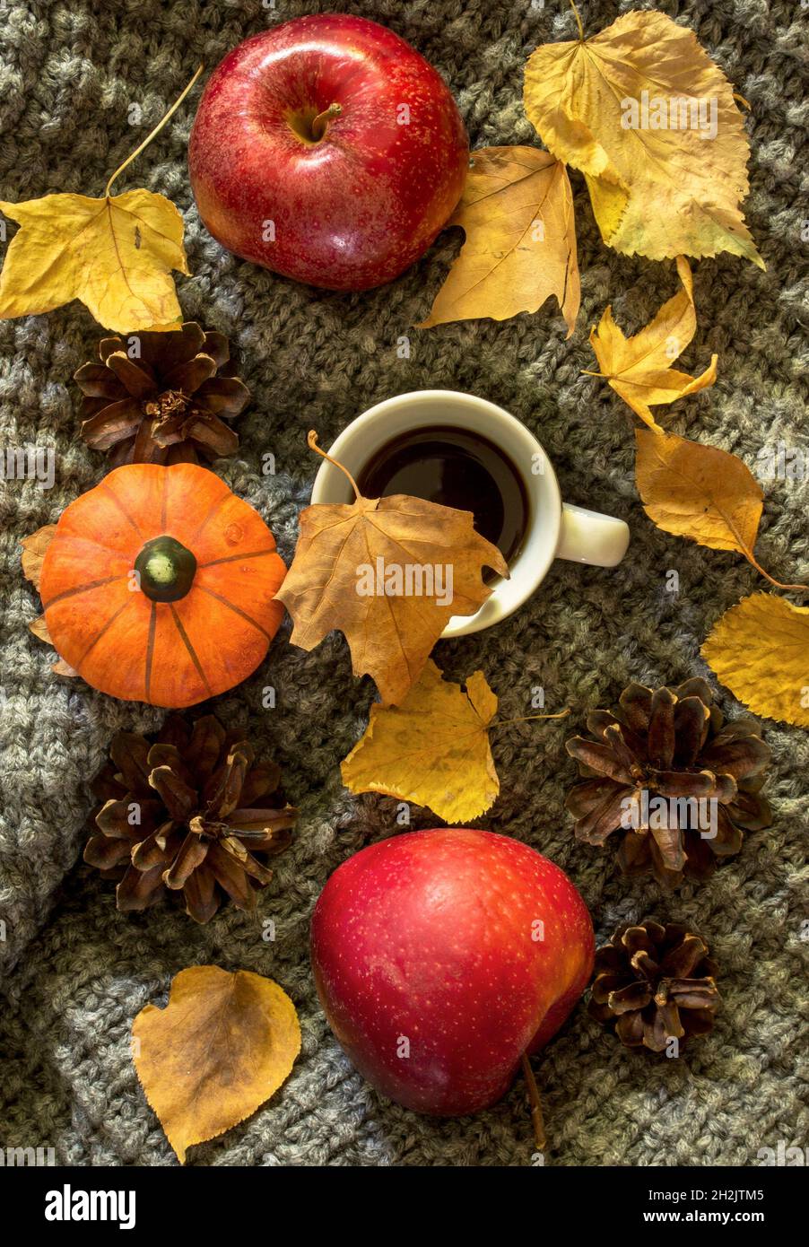 still Life with autumn elements Stock Photo - Alamy