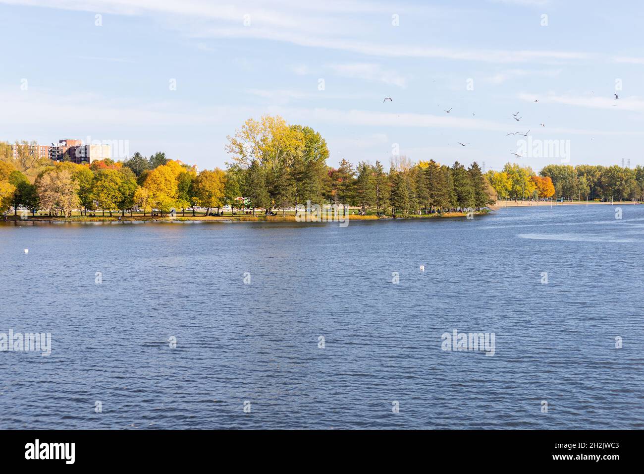 Ottawa, Canada - October 11, 2021: Ottawa River and Moony's Bay Beach ...