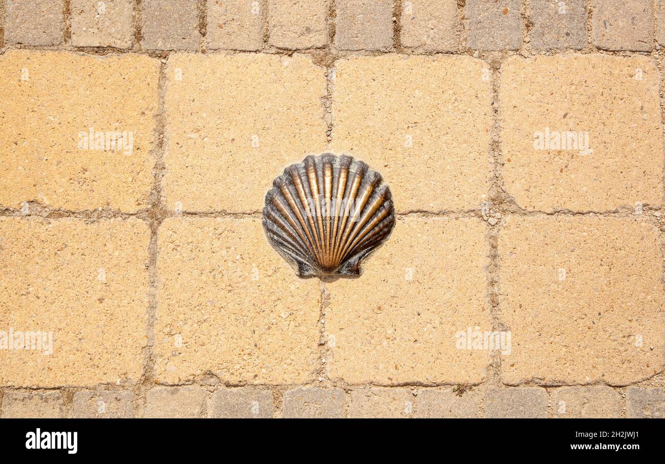 Scallop shell on the road showing the direction of the Camino de ...