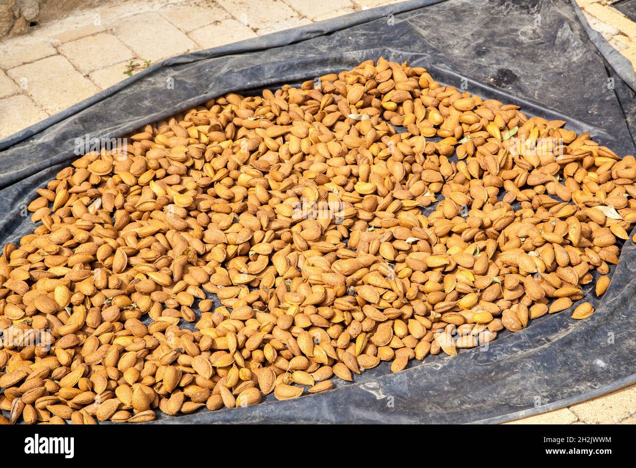 Spanish nuts hi-res stock photography and images - Alamy