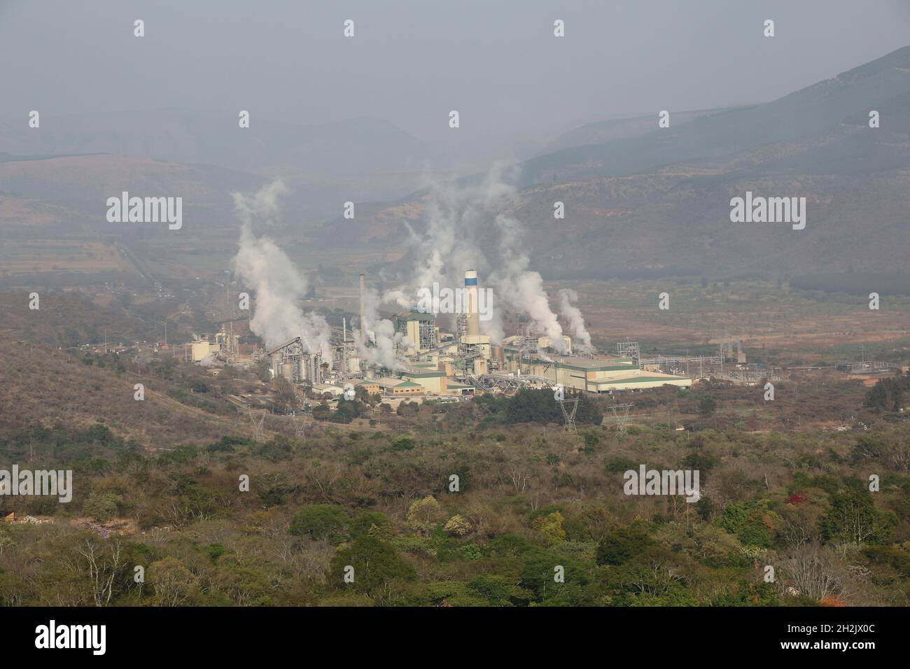 Sappi ngodwana paper mill hi-res stock photography and images - Alamy