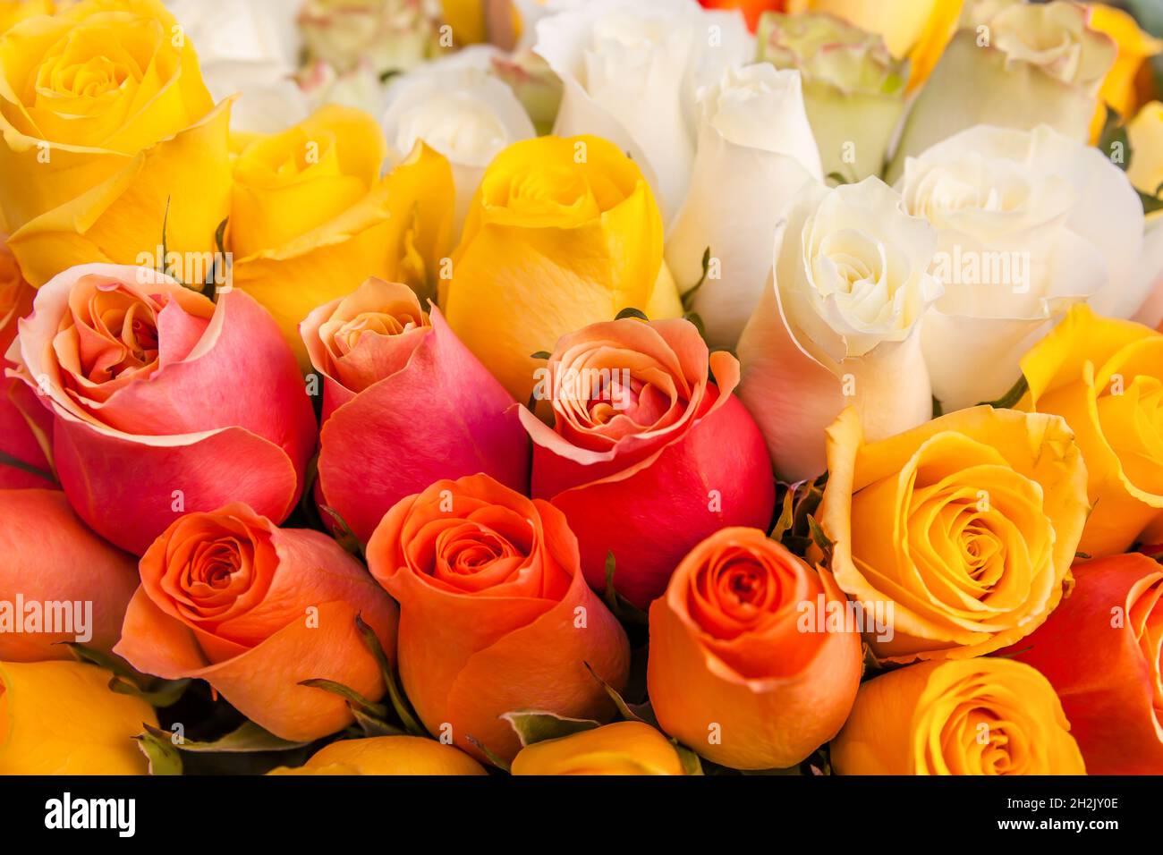 Big bunch of flowers hi-res stock photography and images - Alamy