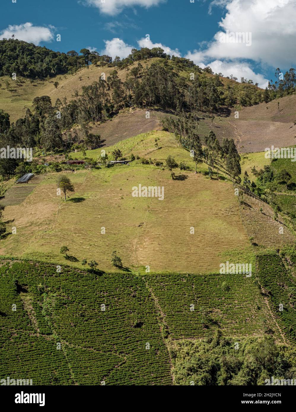 Cultivations on the steep slope of the deforested mountain between ...
