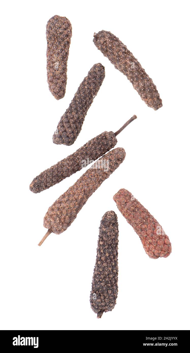 Long pepper isolated on white background. Heap of pippali or piper ...