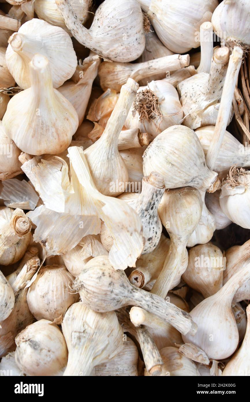 Garlic with stalk hi-res stock photography and images - Alamy