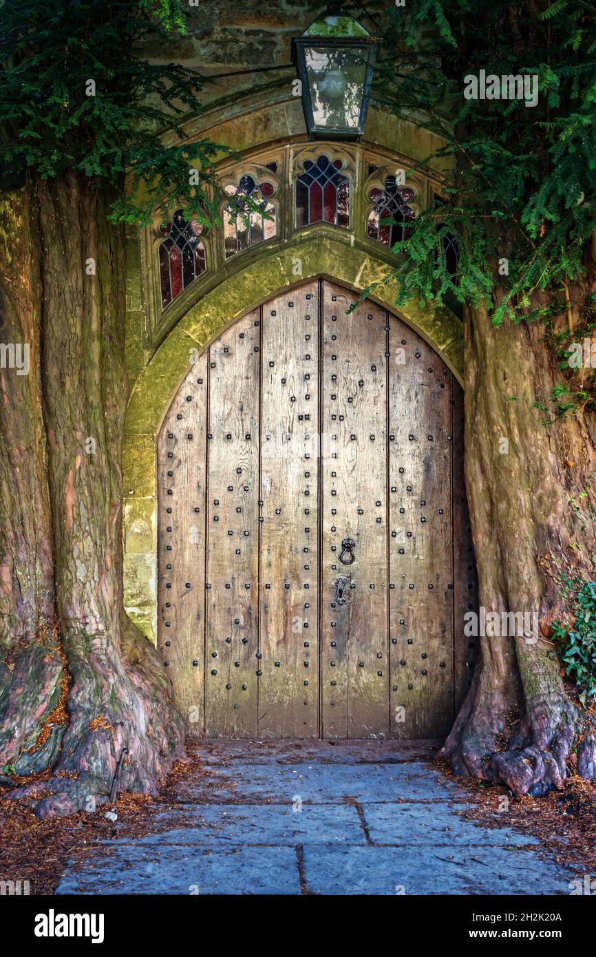 The north door of St Edward's church with two ancient yew trees growing ...