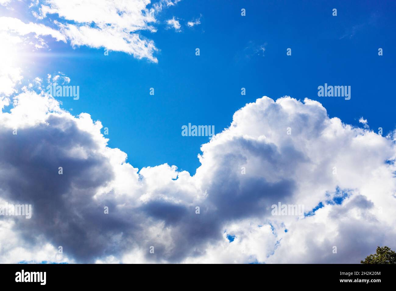 large cloud in blue sky over tree on summer day Stock Photo - Alamy