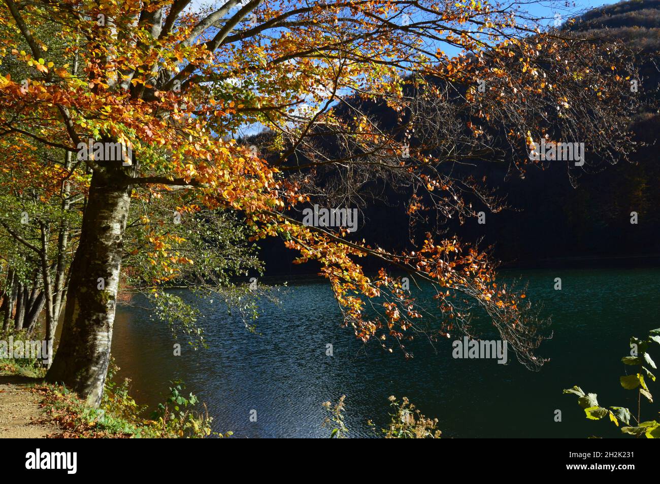 Balkana lake, Bosnia and Herzegovina Stock Photo - Alamy