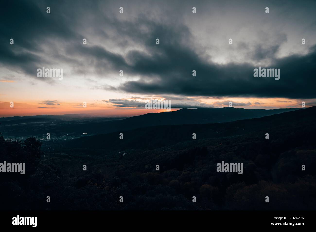 Sunset in the forest Stock Photo - Alamy