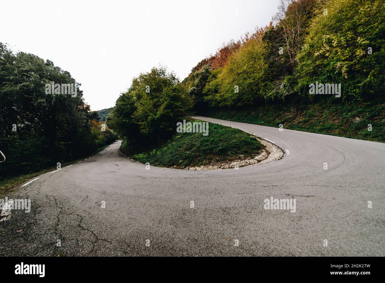 Sharp curve in road in the forest Stock Photo - Alamy