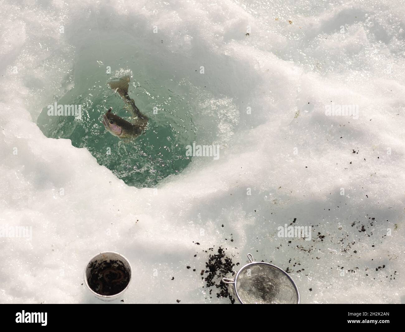 Alpine fish hi-res stock photography and images - Alamy