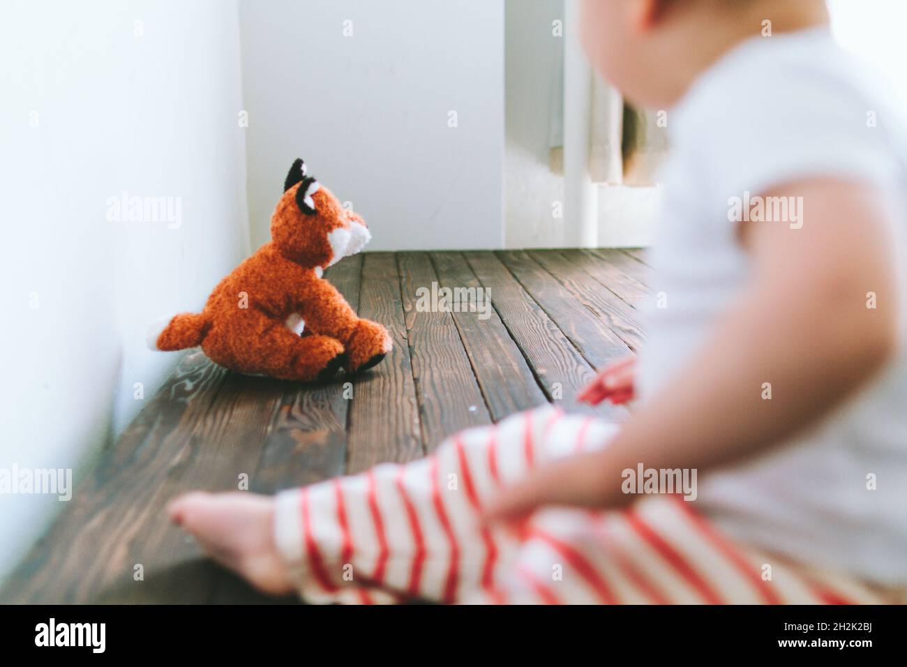 Fox boy hi-res stock photography and images - Alamy