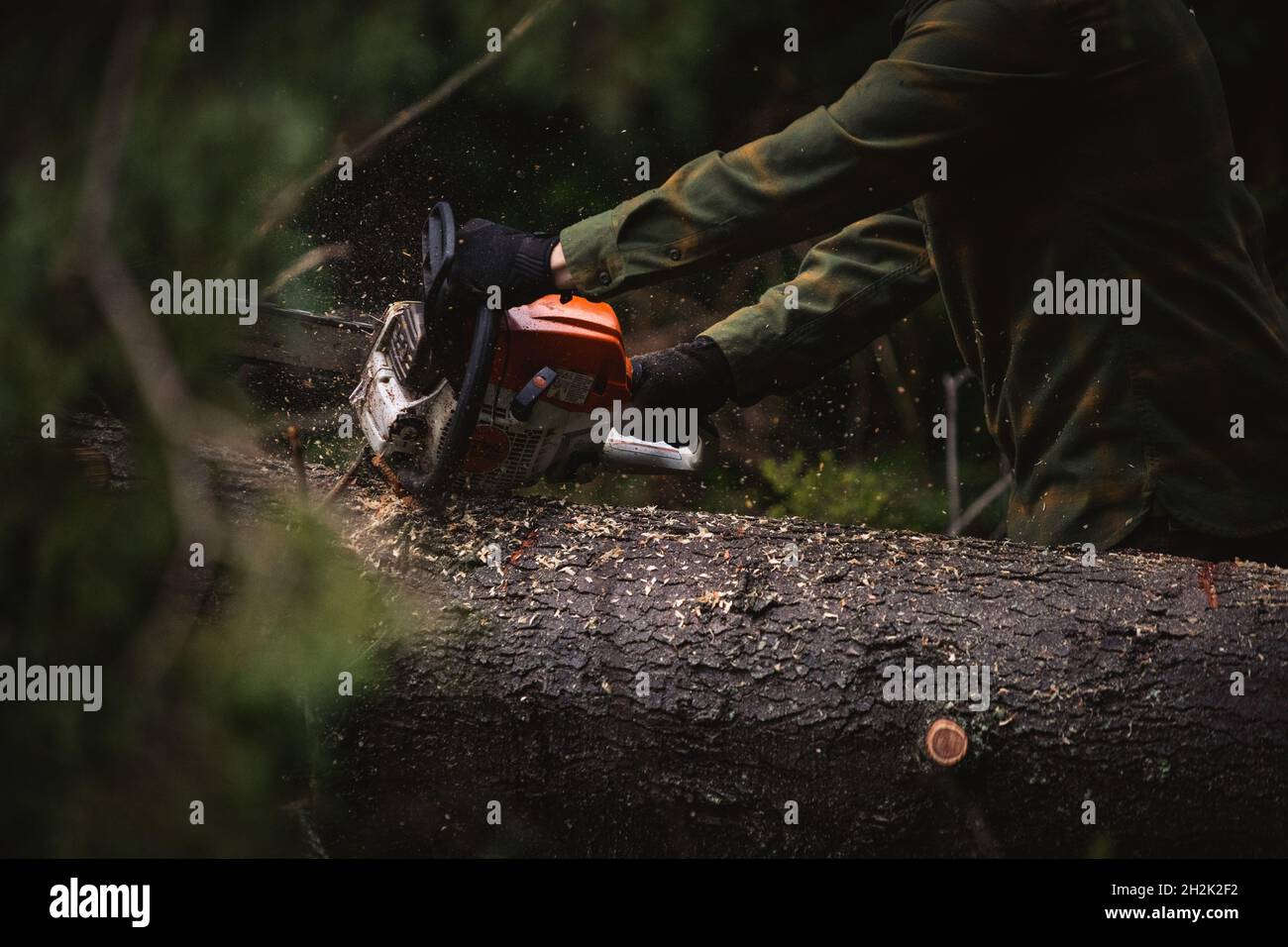 Limbing hi-res stock photography and images - Alamy