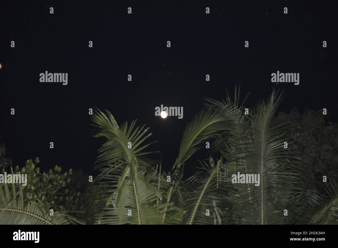 Moon lit hi-res stock photography and images - Alamy