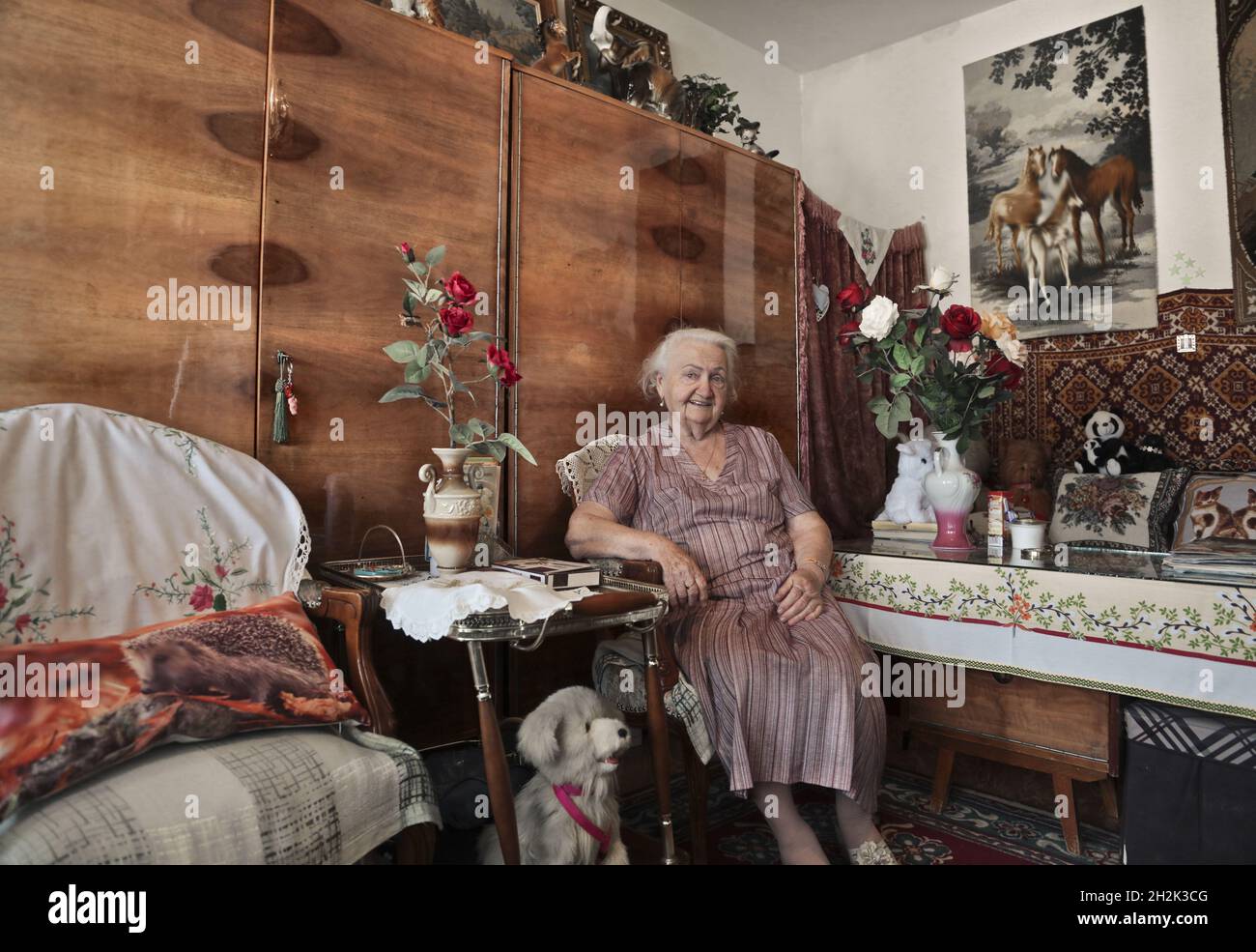 portrait of elderly lady in her home Stock Photo - Alamy