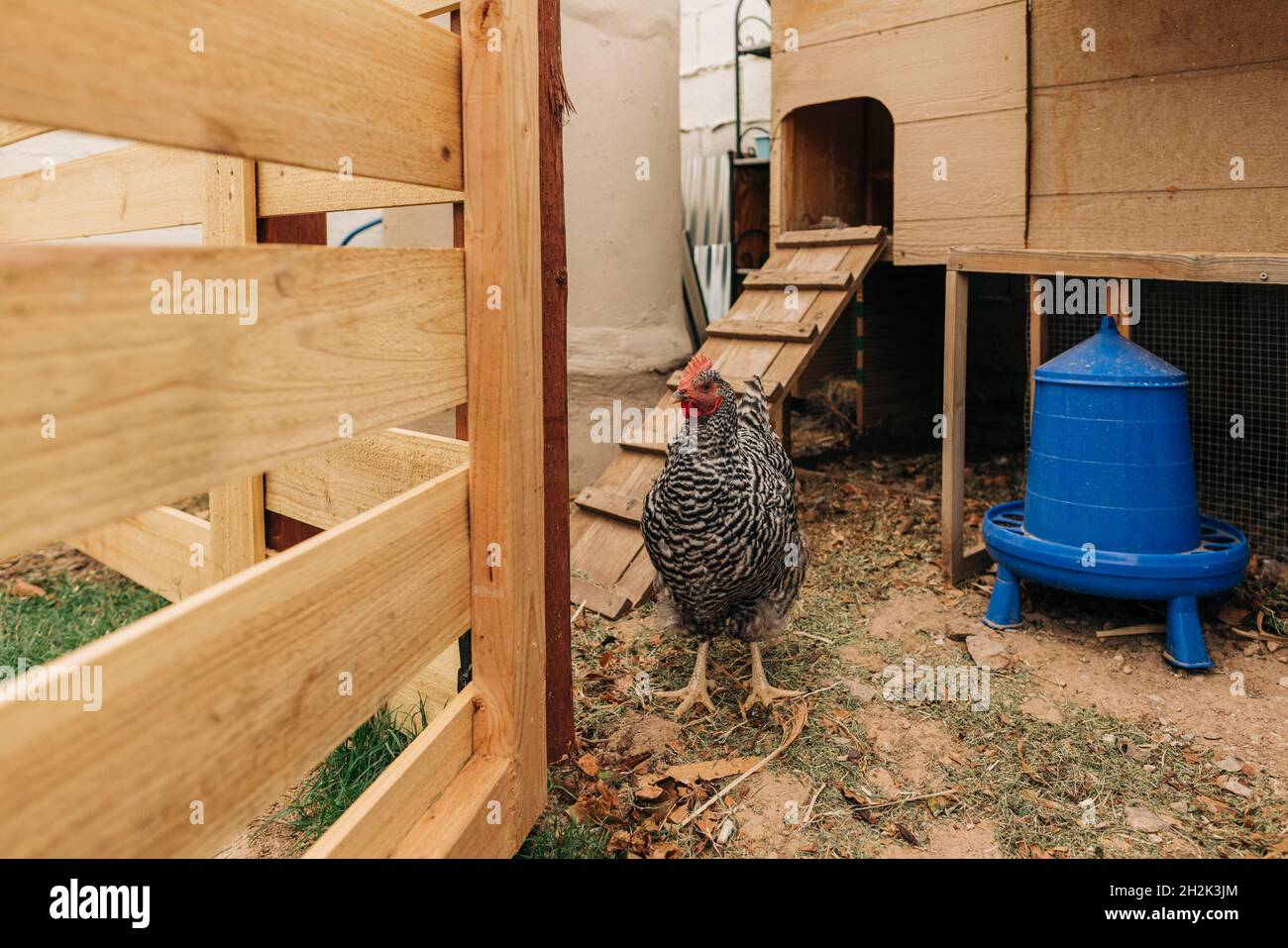 Barred cage hi-res stock photography and images - Alamy