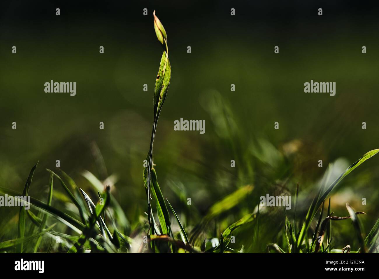 Selective lighting hi-res stock photography and images - Alamy