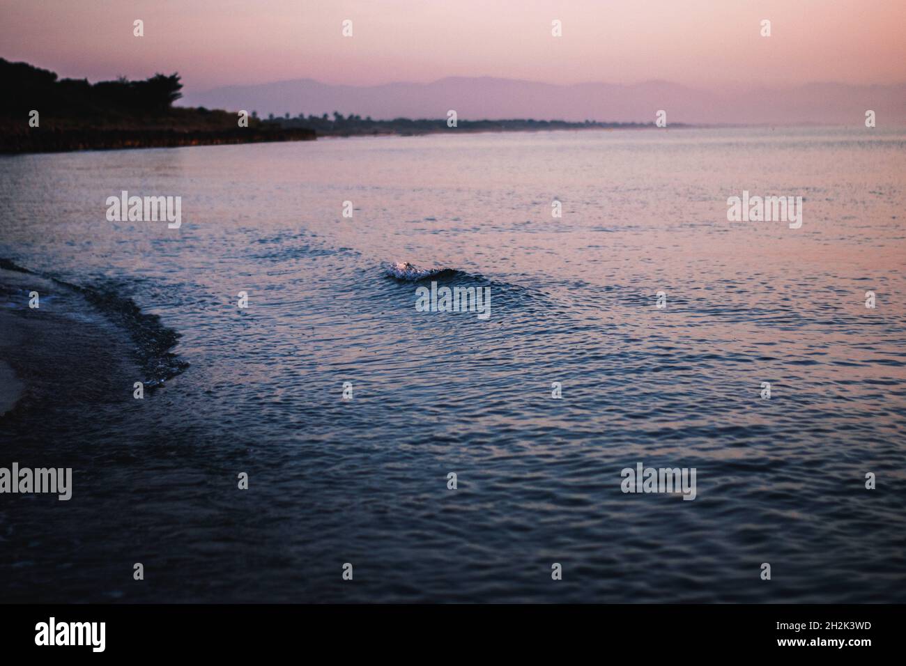 Seaweave hi-res stock photography and images - Alamy