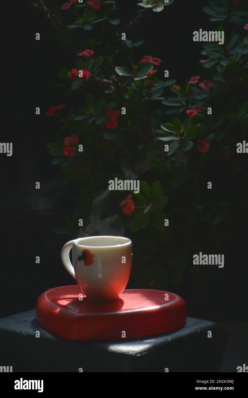 Tea photography exceptional tea hi-res stock photography and images - Alamy