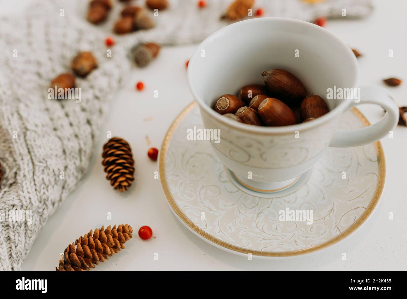 White and gold tea cup filled with acorns on a white background Stock ...