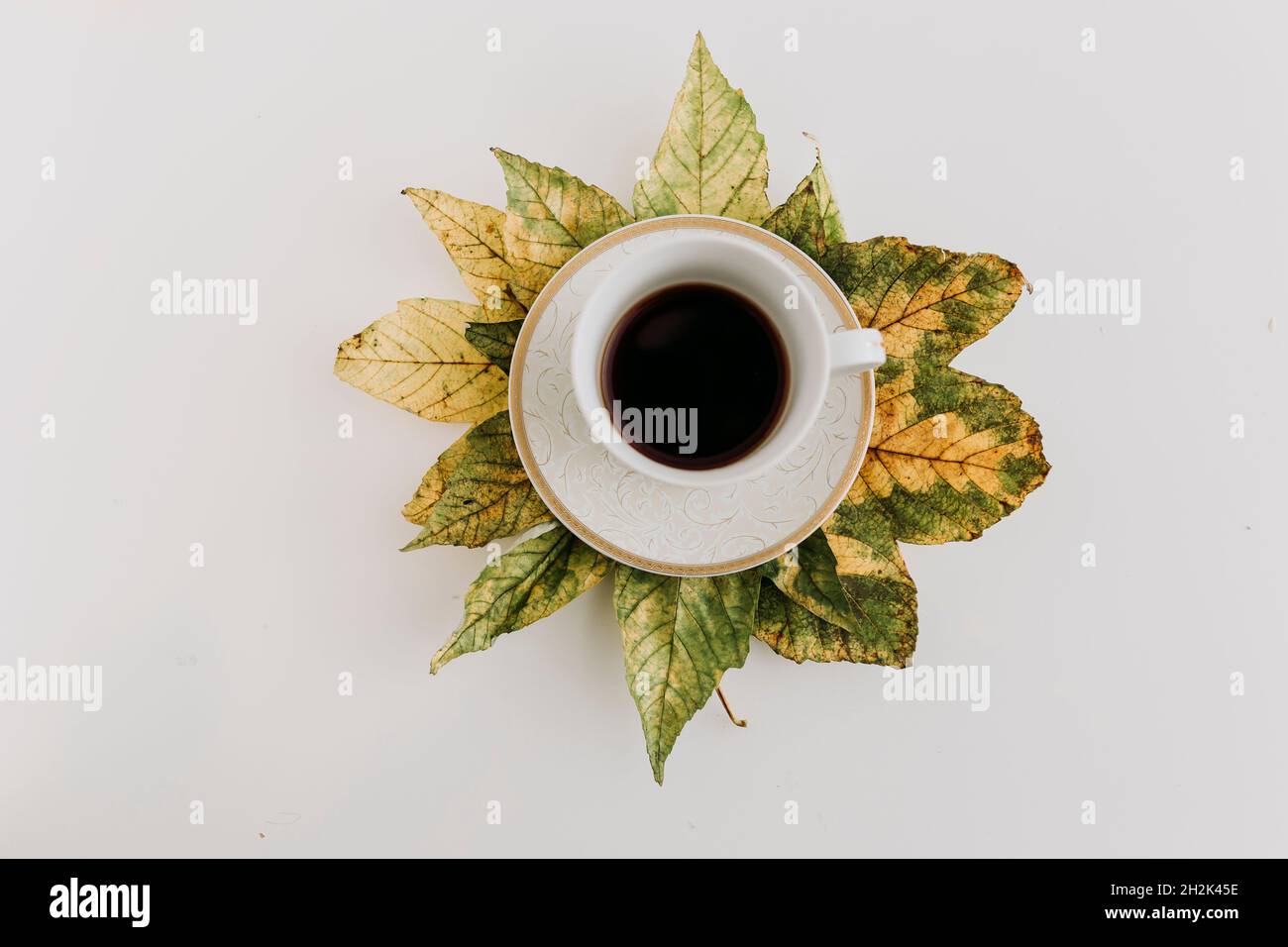 Minimalistic coffee cup on clone fall leaves on a white background ...