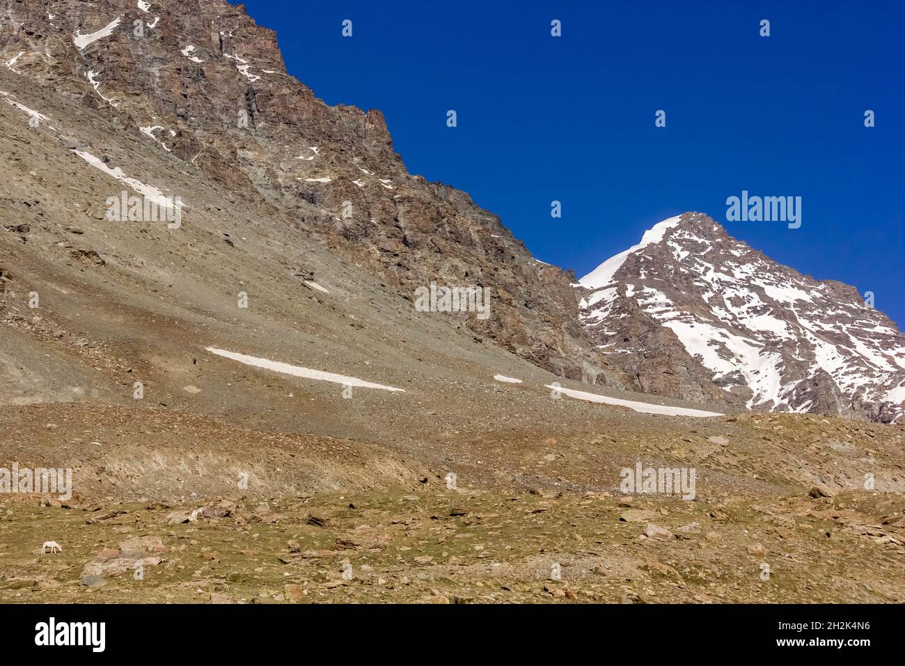 Snow capped Himalayan mountain peaks in the rocky terrain of a remote valley Stock Photo - Alamy